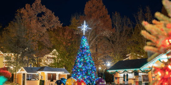 Dolly Parton Issues Important Message to Dollywood Guests, Immediately ...