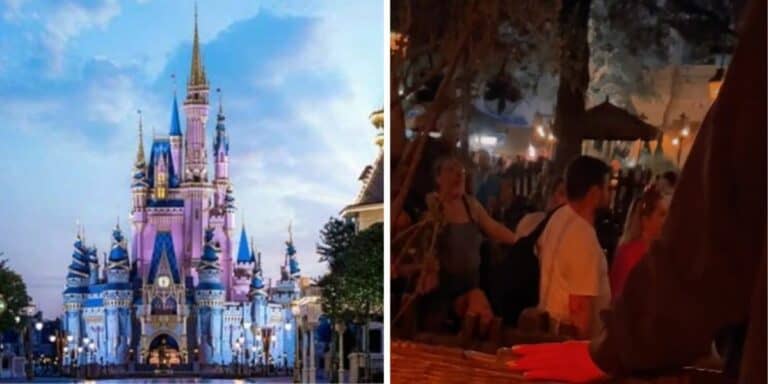 Fans Debate Line-Cutting at Disney World After Nasty Fight Spreads Online