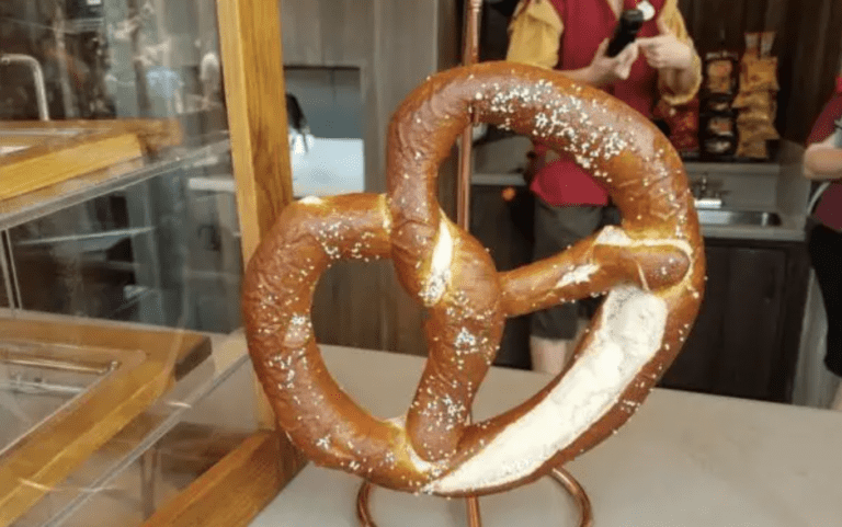 The Pretzel Guide to Walt Disney World
