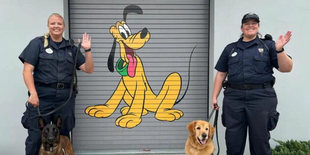 Disney Security Cast Members to Receive Huge Pay Increase