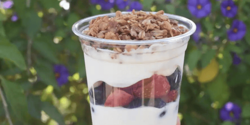 These are the healthiest snacks at Disney World in Orlando, FL, some ...