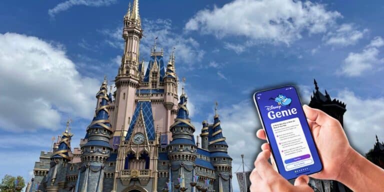 Disney World Sets New Historical Record as Prices Reach New Height