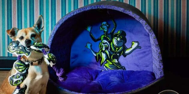 Haunted Mansion Collection on ShopDisney Available Now