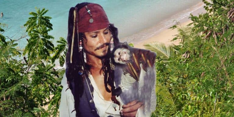 Pirates of the Caribbean Co-Star Johnny Depp Once Called a "Diva ...