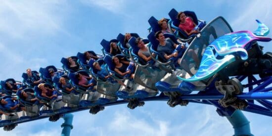SeaWorld's New Era: Theme Park Ditches Orcas for Drones and Education