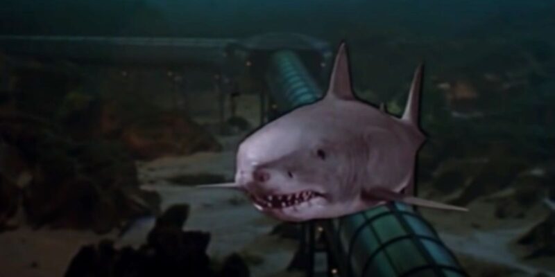 The 5 Best and 5 Worst Shark Movies Ever Made