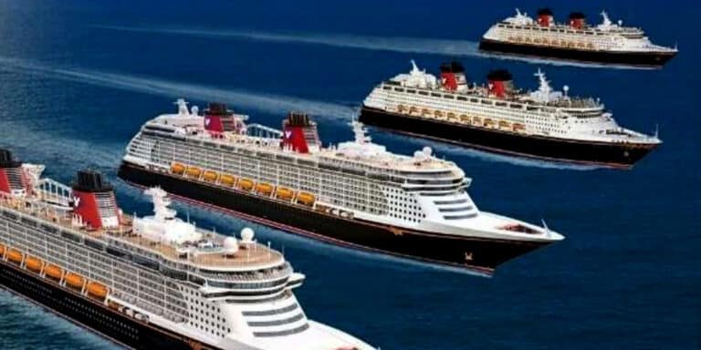 Notice Issued: Disney Bans Thousands of Guests From Bringing One Item ...