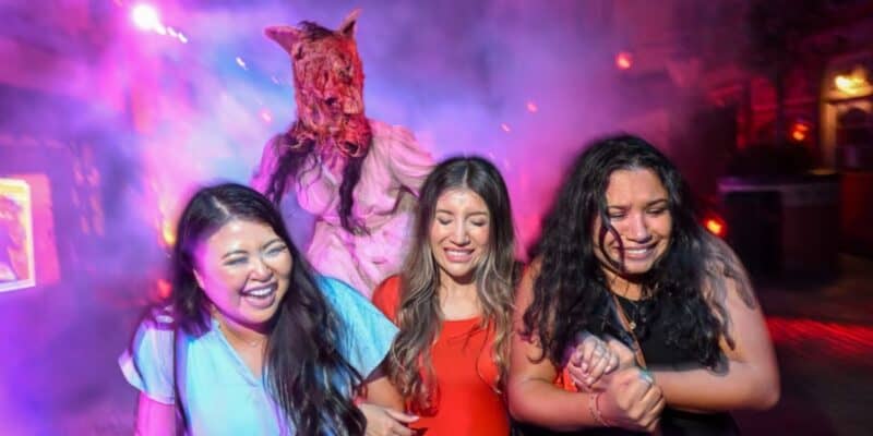 Universal Experiences Delays, Affecting Halloween Horror Nights 2026