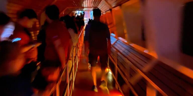People Are Actually Pooping in Line at Walt Disney World