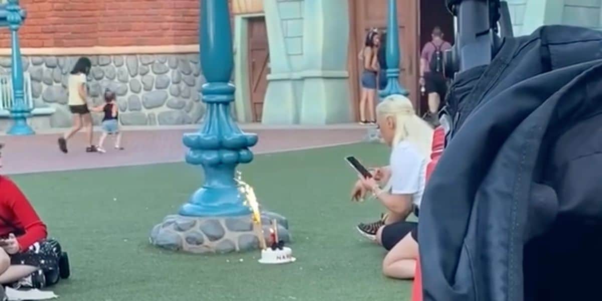 Guest Causes Scene After Starting Fire in Disneyland Theme Park