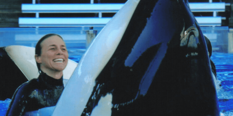 Child Traumatized by SeaWorld Animal Attack