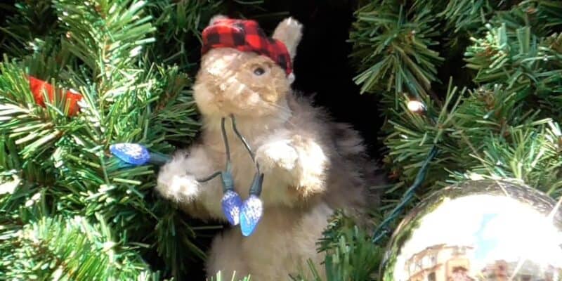 Universal Vulgar Holiday Merch Exposed as Viral Hoax