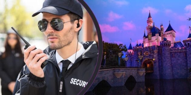Disney Increases Security at Parks After "Streaker" Incident