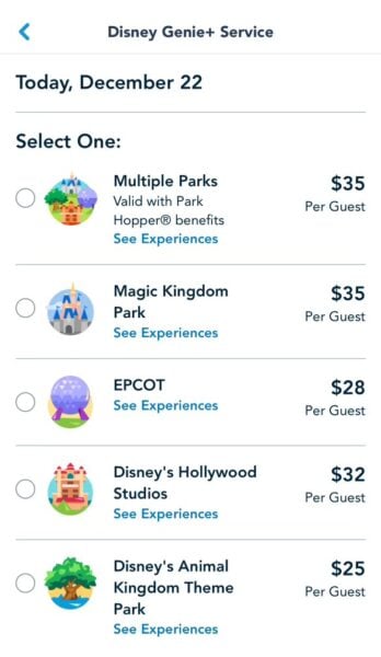 Disney World Paid Service Reaches Record-High as Holiday Crowds Arrive