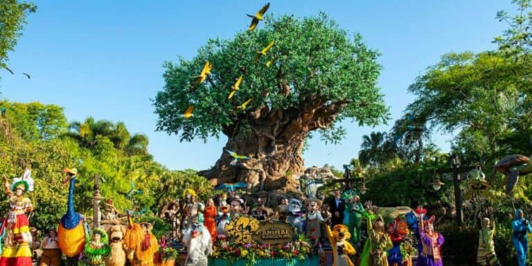 The Secret Codes Cast Members Use at the Disney Parks and Cruises