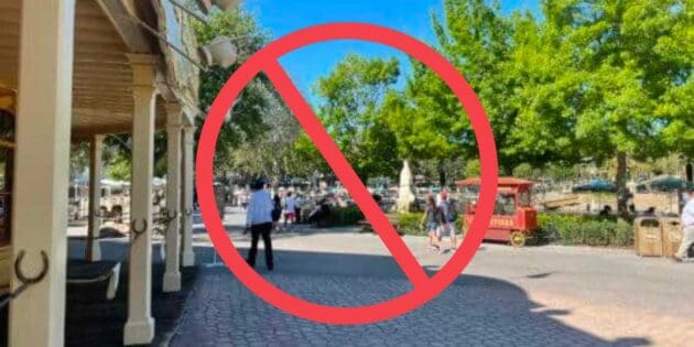 Resistance Grows as Thousands Protest Historic Disney World Expansion ...