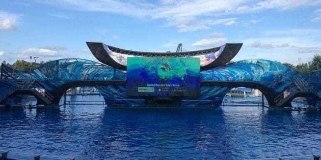 SeaWorld Makes Massive, Historical Orca Change, Debuting Soon