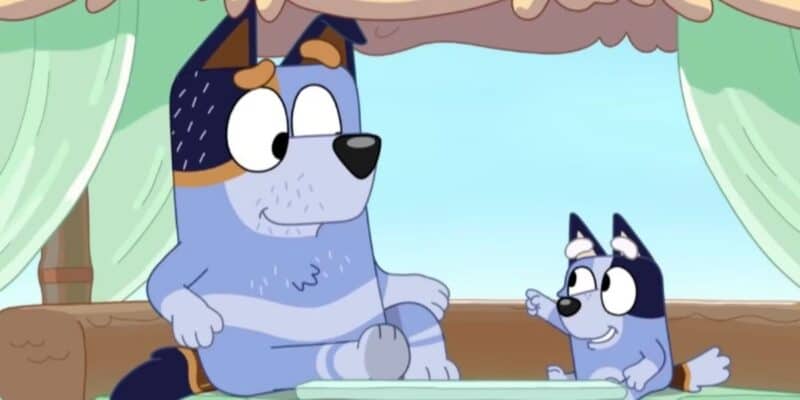 Bandit Replaced: 'Bluey' Finds New Favorite Dad