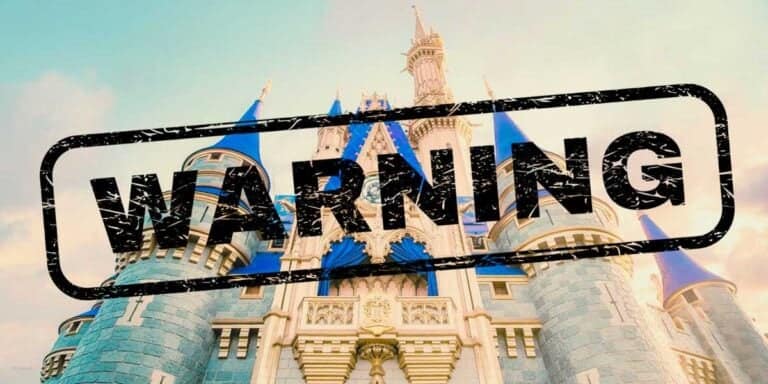 Disney World Given Final Warning: State Hands Out Last Chance for Magic ...