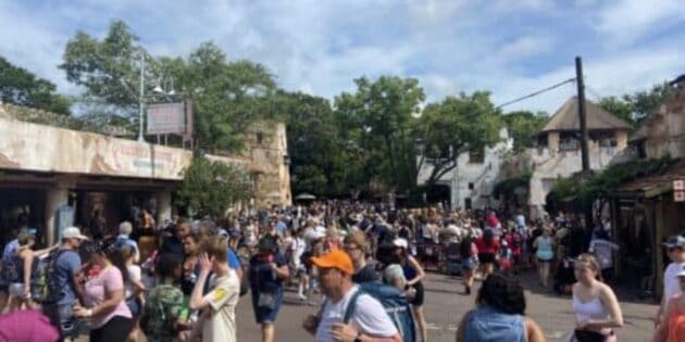 Corpse Found Rotting on Disney World Ride, Cast Member Says