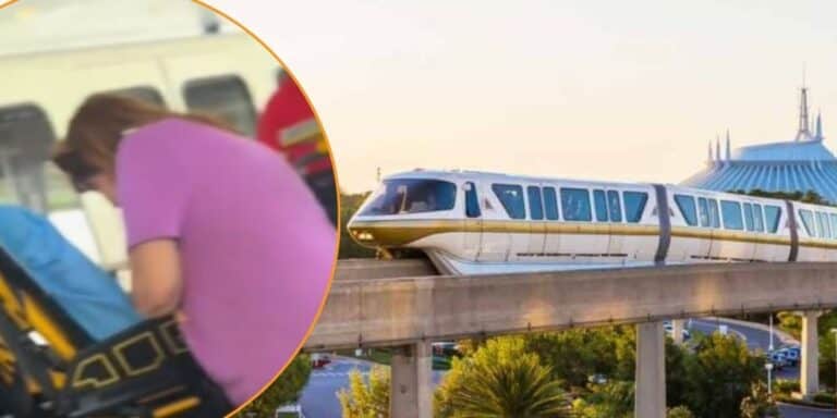 Disney World Monorail Forced To Shut Down, Paramedics Treat Accident ...