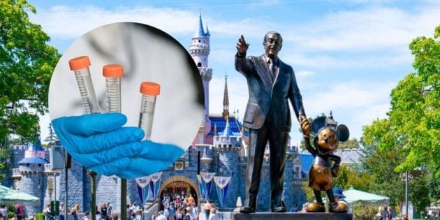 Norovirus Concerns Rise at Disney World as Guests Report Influx of Sickness
