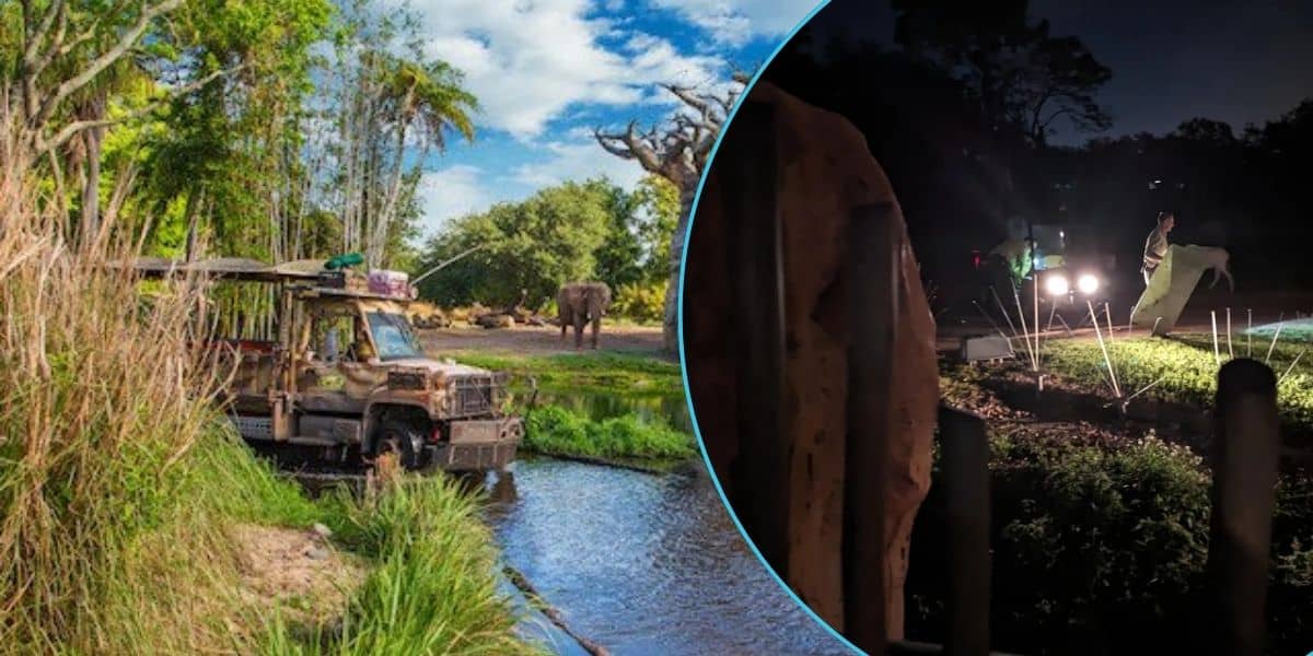 Disney World Employees Use Shield To Defend Against Animal Attack