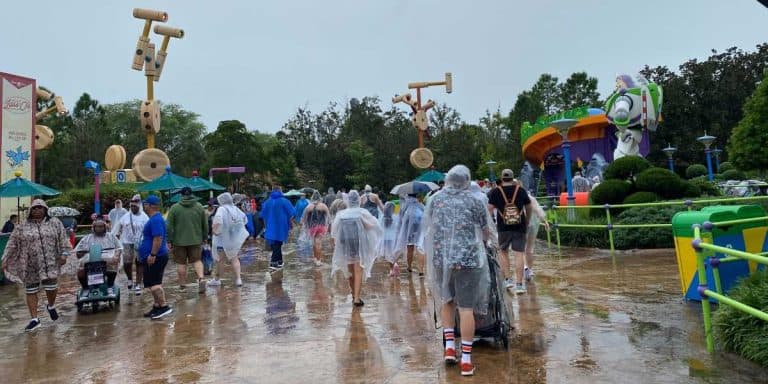Entire Disney Park Closed With Immediate Effect, Reopening Unclear