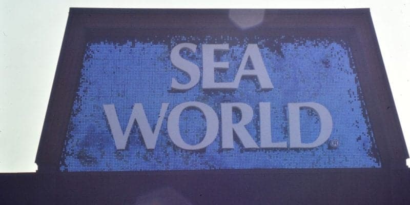 The Rise and Fall of SeaWorld: Closed Park Left to Decay