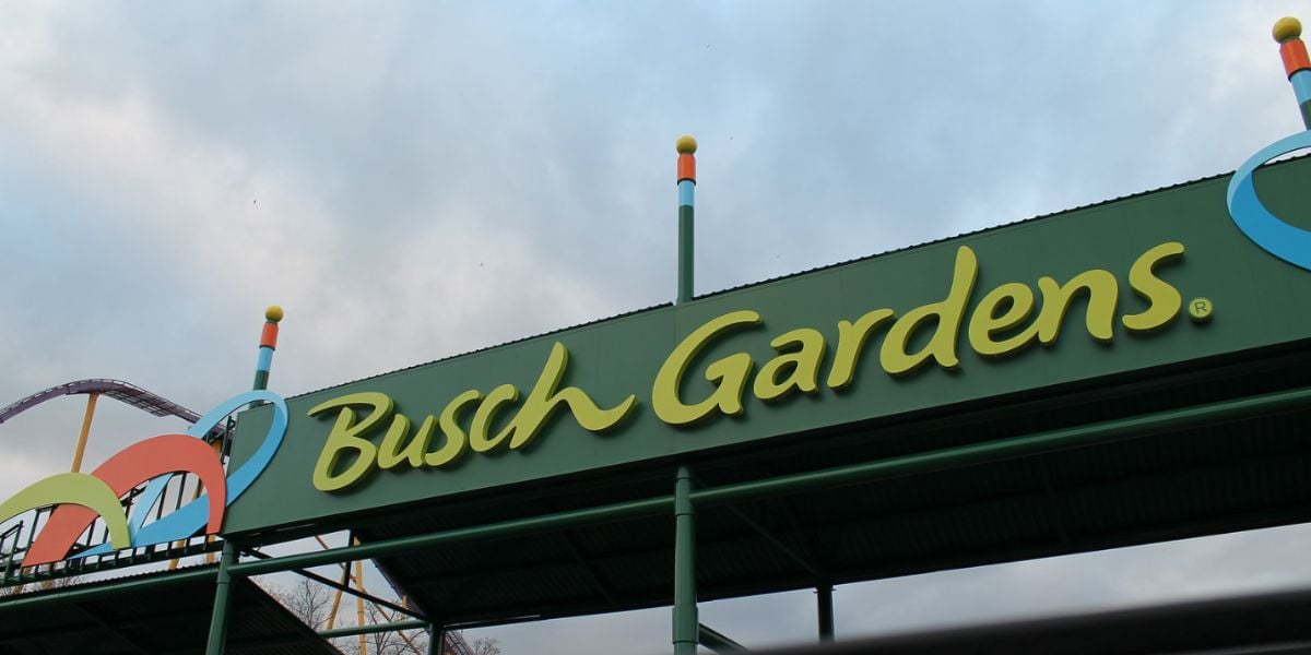 Busch Gardens Tampa Bay Issued Emergency Shutdown Notice, Effective ...